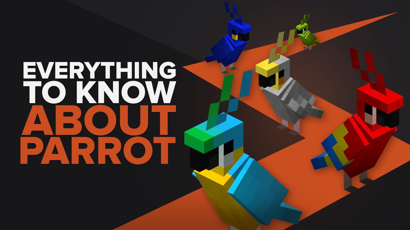 Everything You Need To Know About Parrots In Minecraft | TGG
